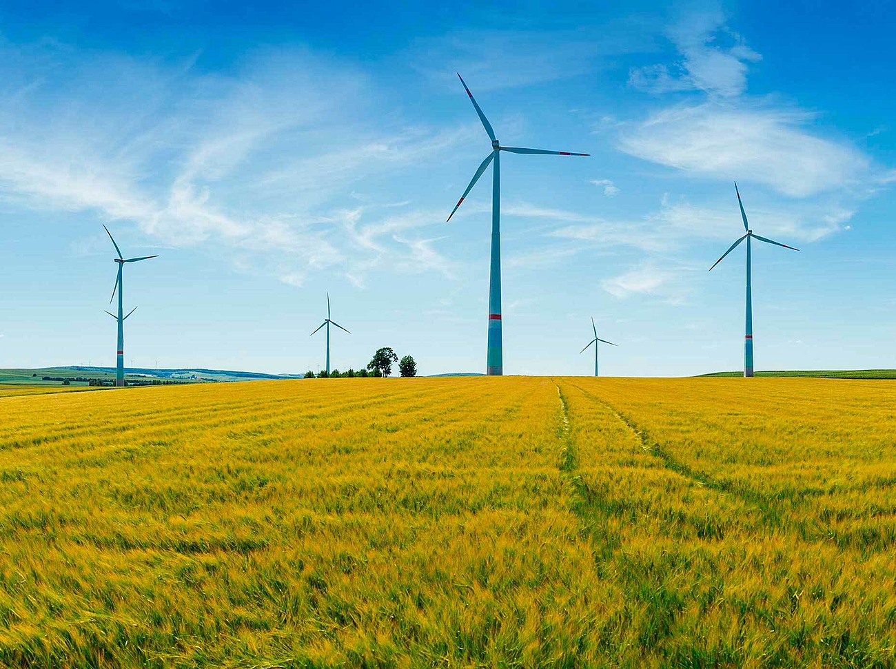 EDF power solutions Deutschland | EDF power solutions in Germany